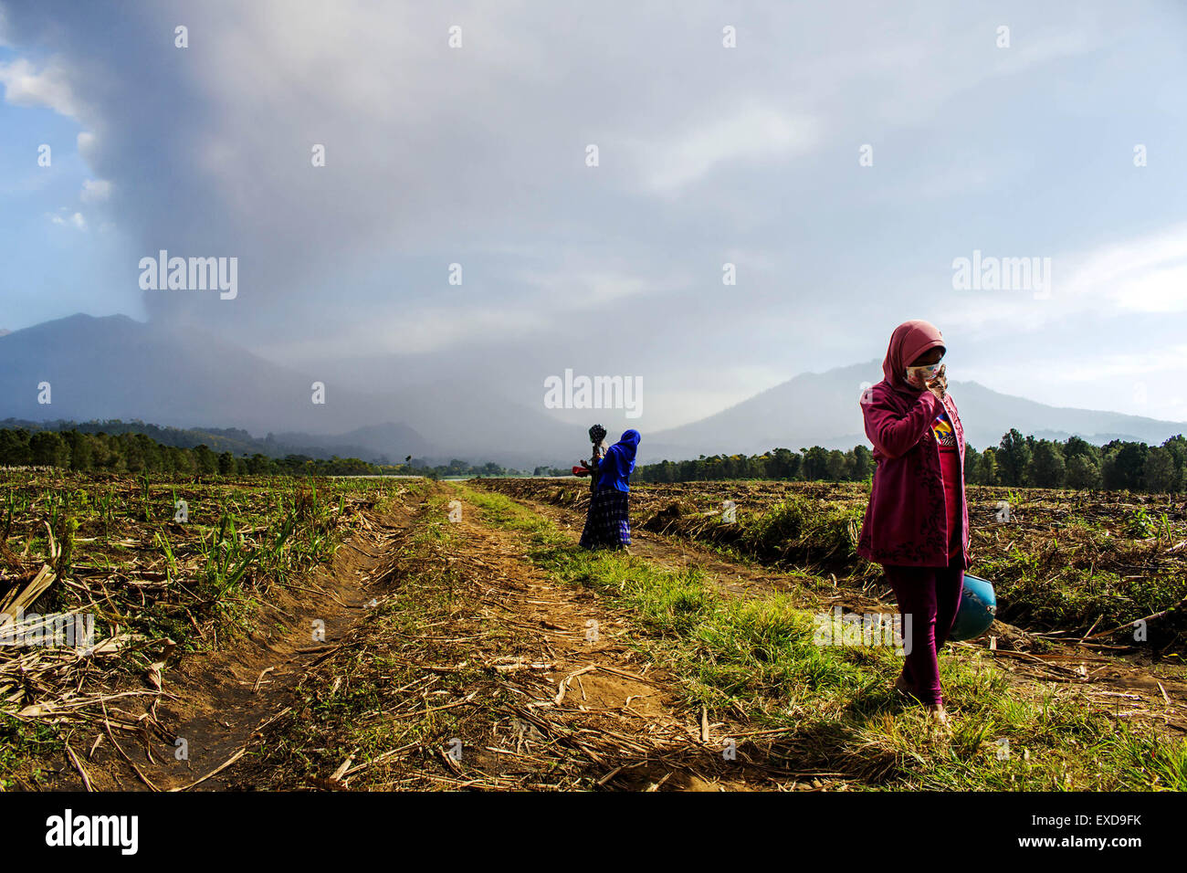 Java w hi-res stock photography and images - Alamy