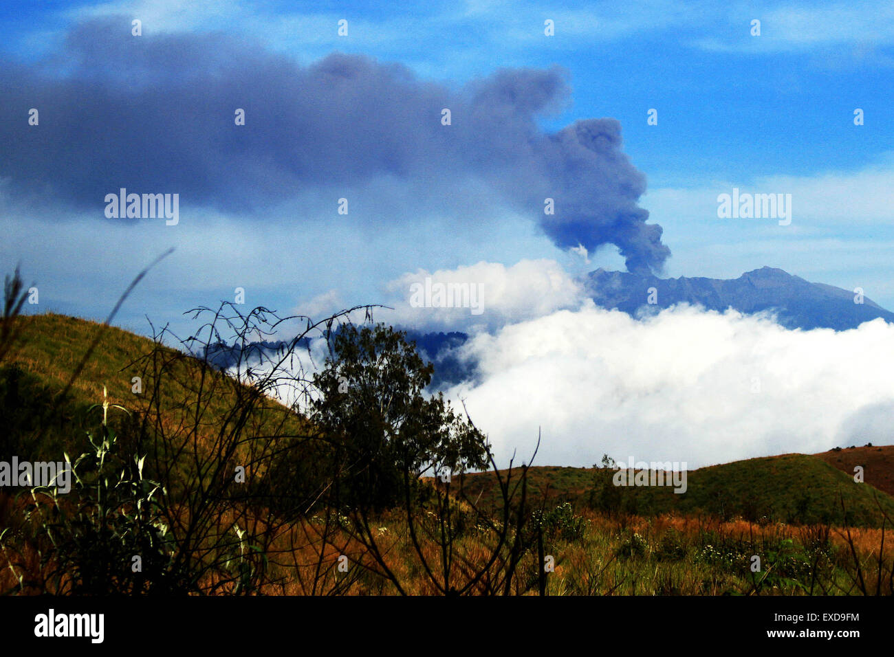 Java w hi-res stock photography and images - Alamy