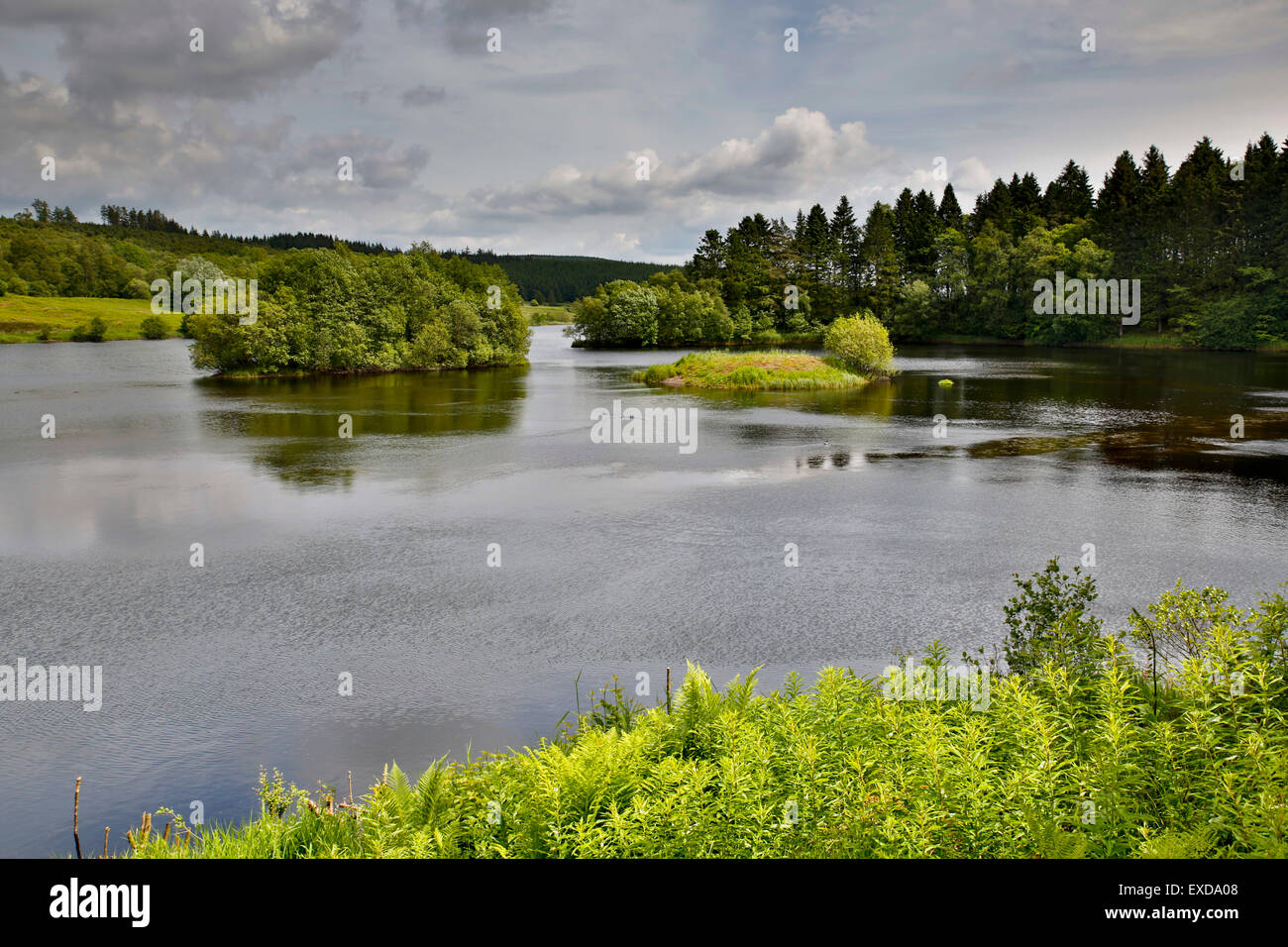 Kielder hi-res stock photography and images - Alamy