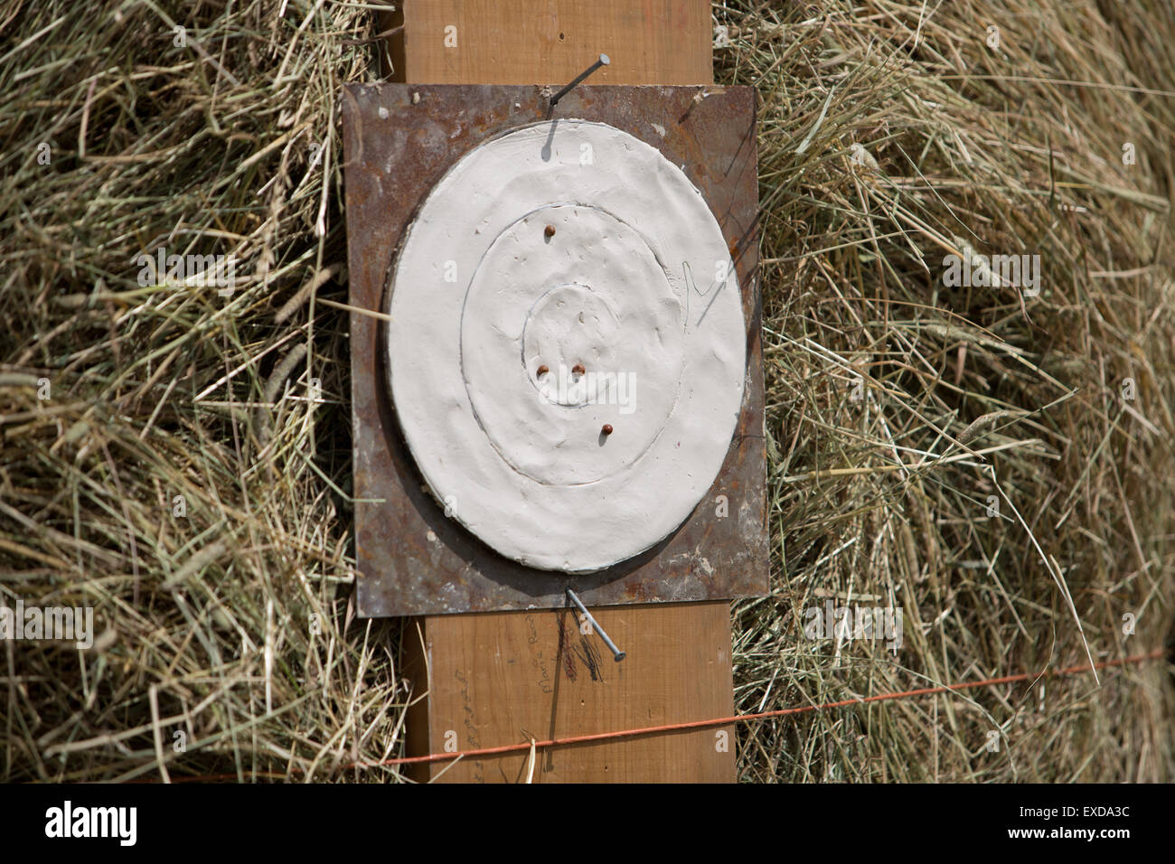 World Pea Shooting Championships at Witcham near Ely, Cambridgeshire UK ...