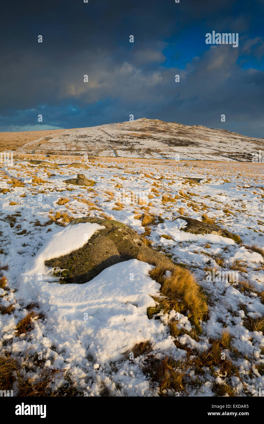 Brown willy in snow hi-res stock photography and images - Alamy