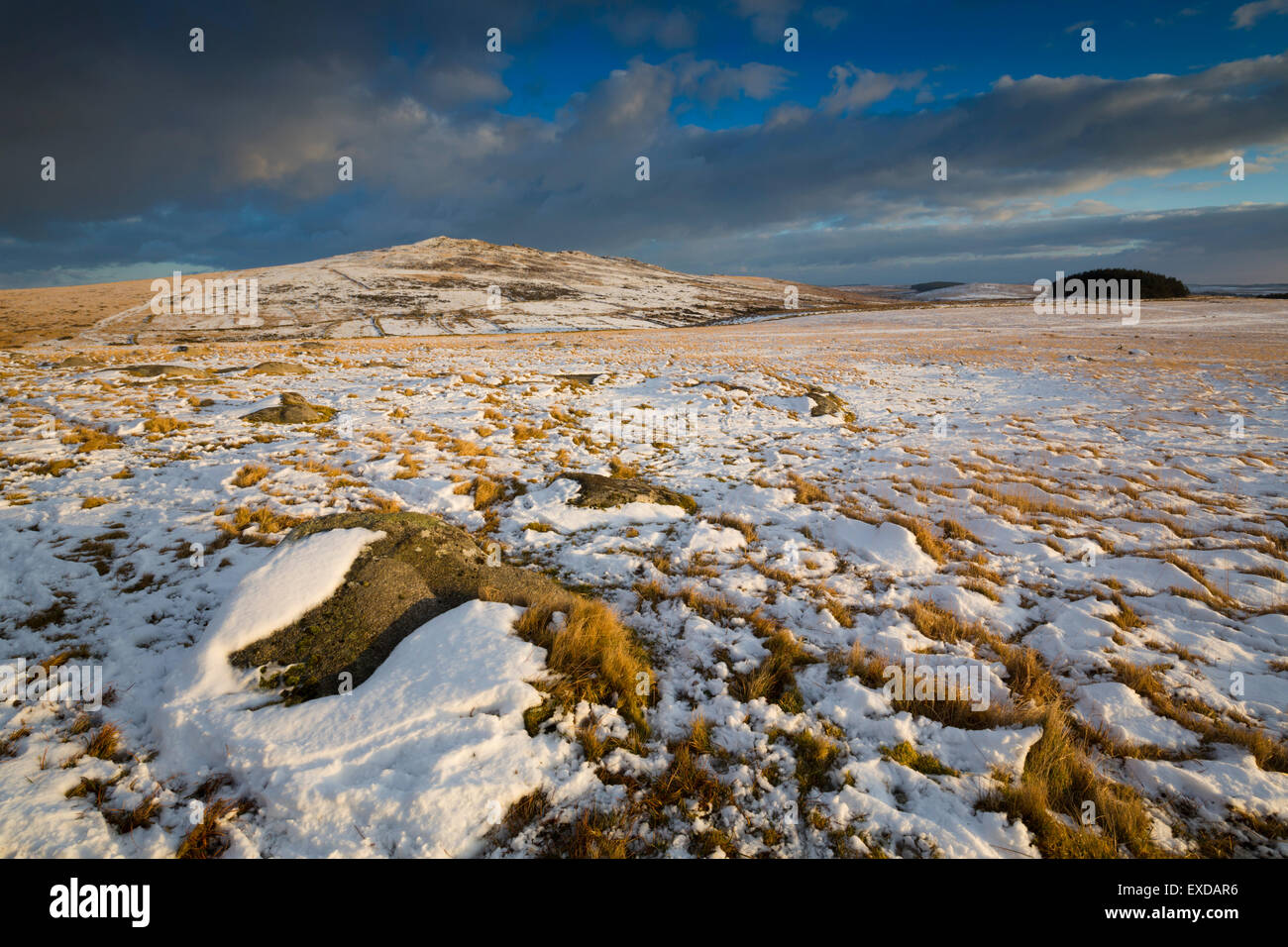 Brown Willy in Snow Bodmin Moor; Cornwall; UK Stock Photo - Alamy