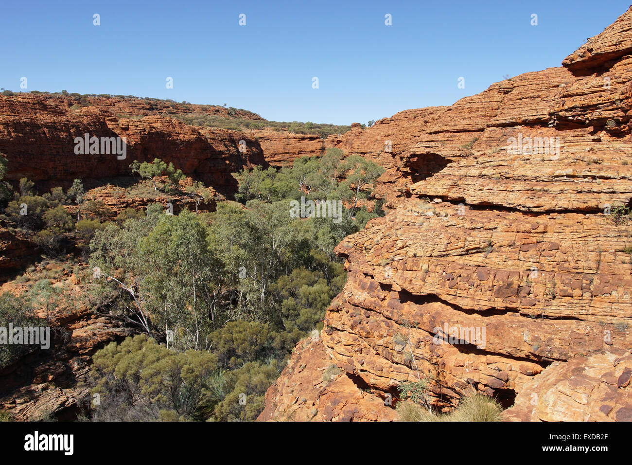 Landscape of the Kings Canyon, Outback of Australia Stock Photo - Alamy