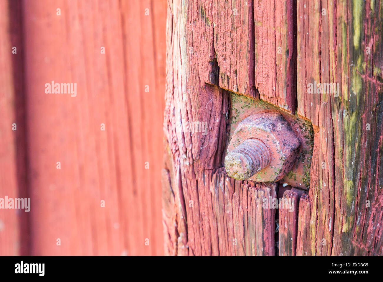 An Old Rusty Bolt in Red Worn Timber Log Stock Photo - Alamy