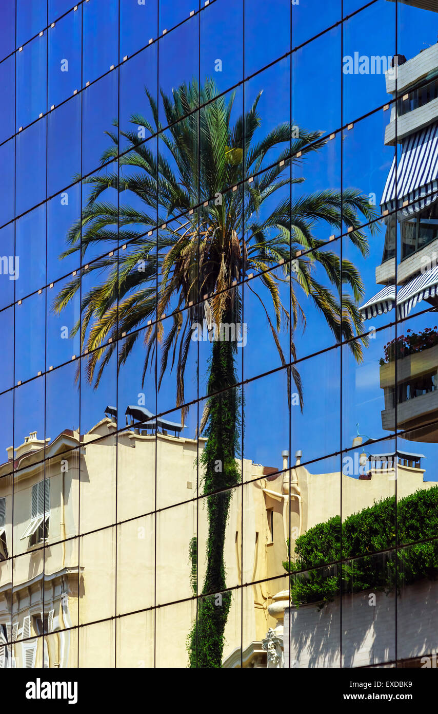 Big palm tree reflection in the modern glass wall. Monaco Stock Photo ...
