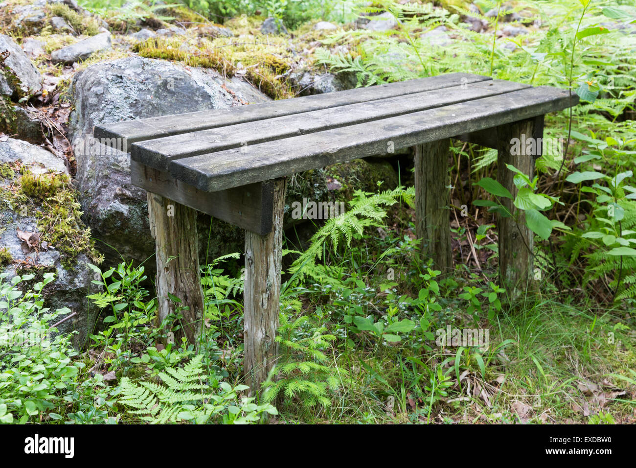 A Worn Wooden Bench in Forest Stock Photo - Alamy