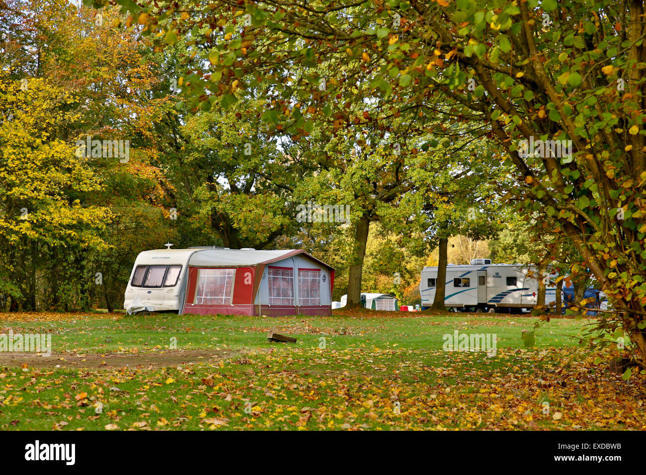 Camp at savernake forest hi-res stock photography and images - Alamy