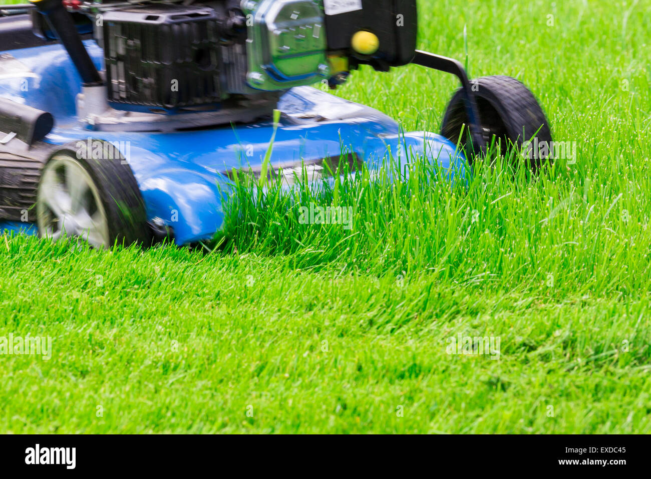 Cutting the grass hi-res stock photography and images - Alamy