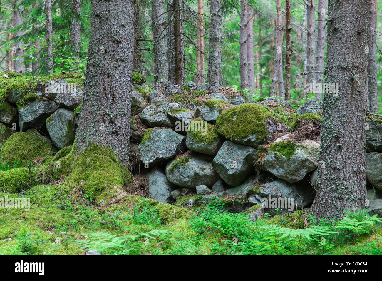 Ancient Piles of Stones in the Forest Making up a Wall Stock Photo - Alamy