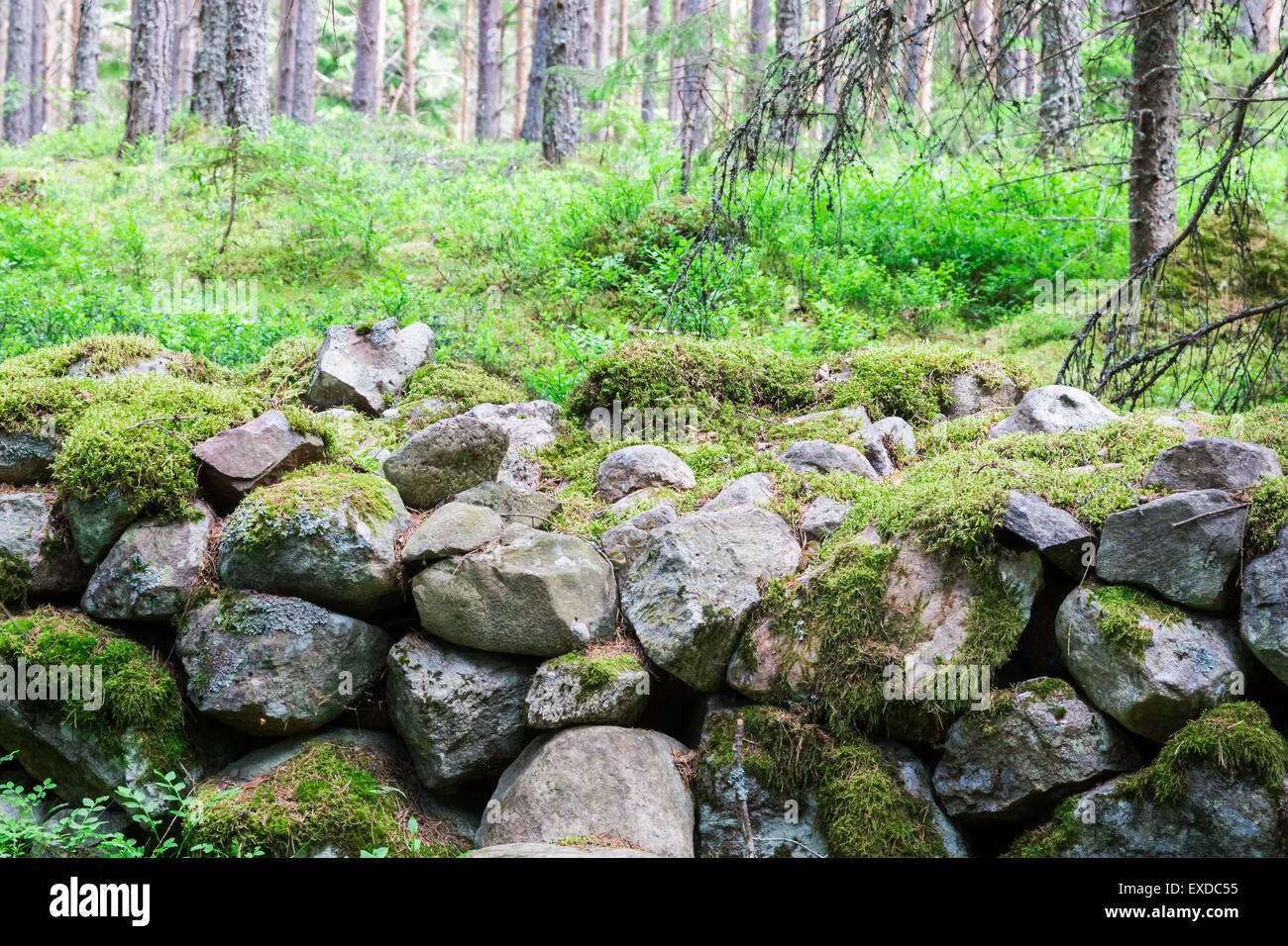 Ancient Piles of Stones in the Forest Making up a Wall Stock Photo - Alamy