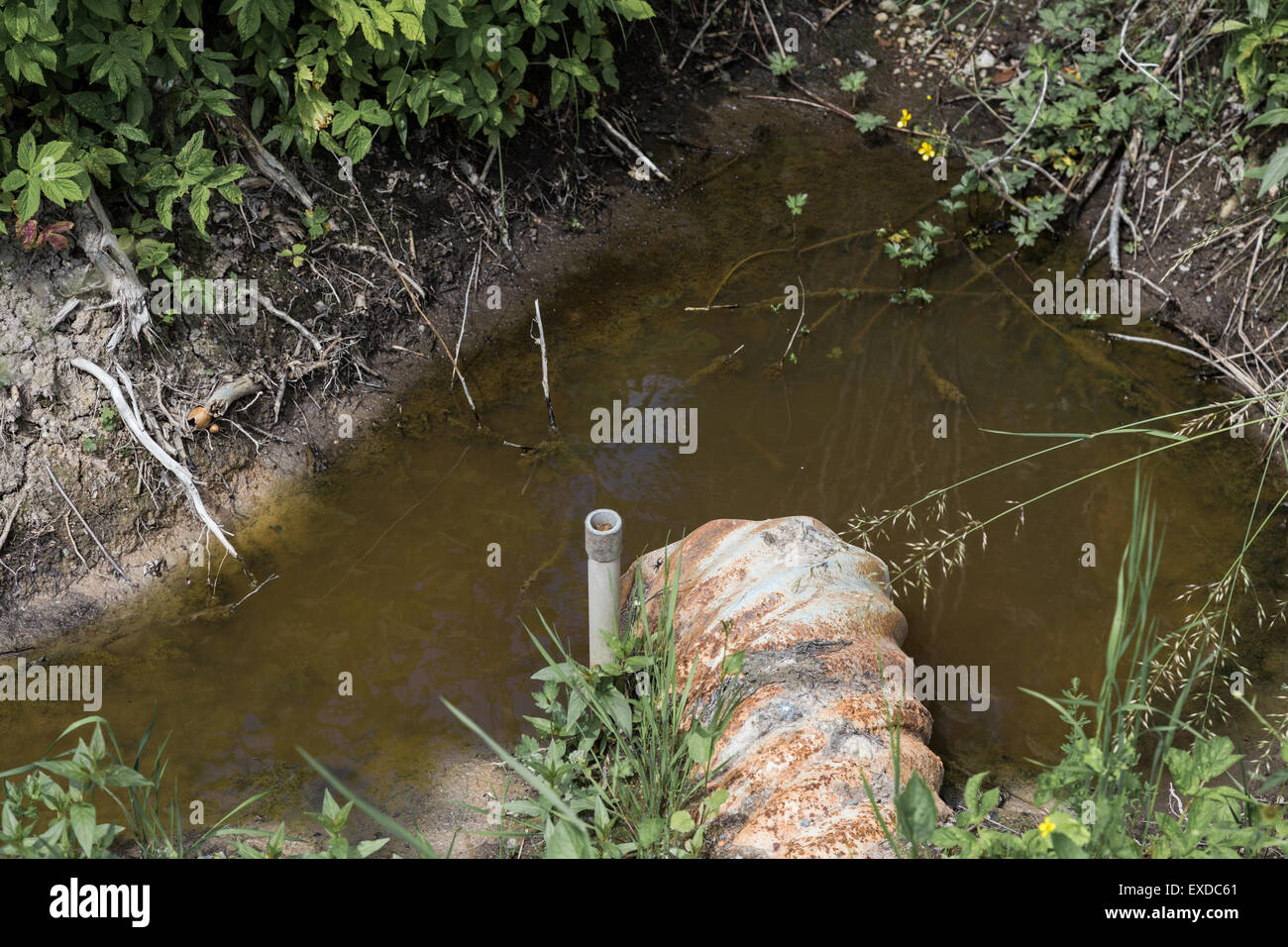 Jungle pollution hi-res stock photography and images - Alamy