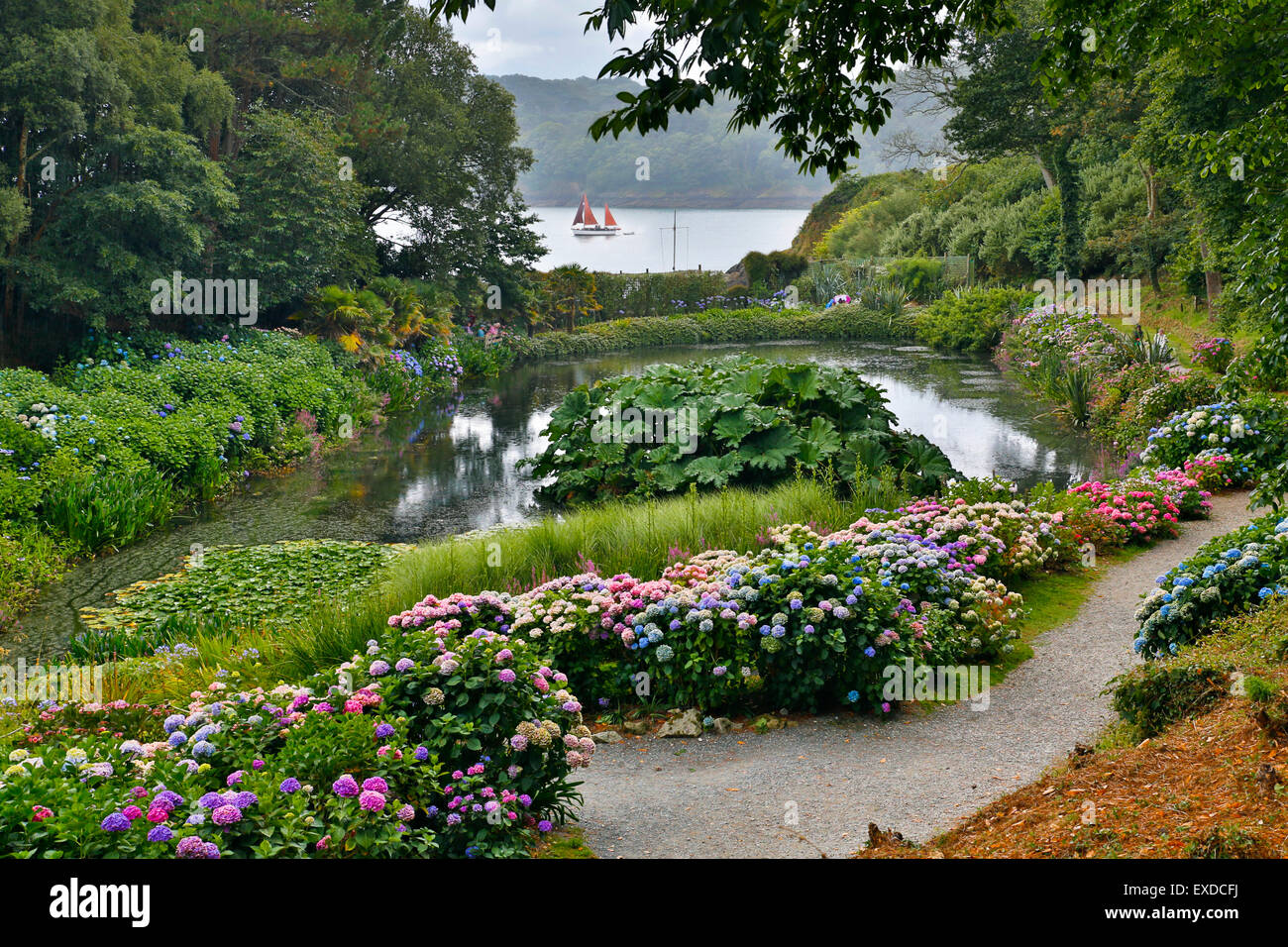 Garden pond summer england hi-res stock photography and images - Alamy