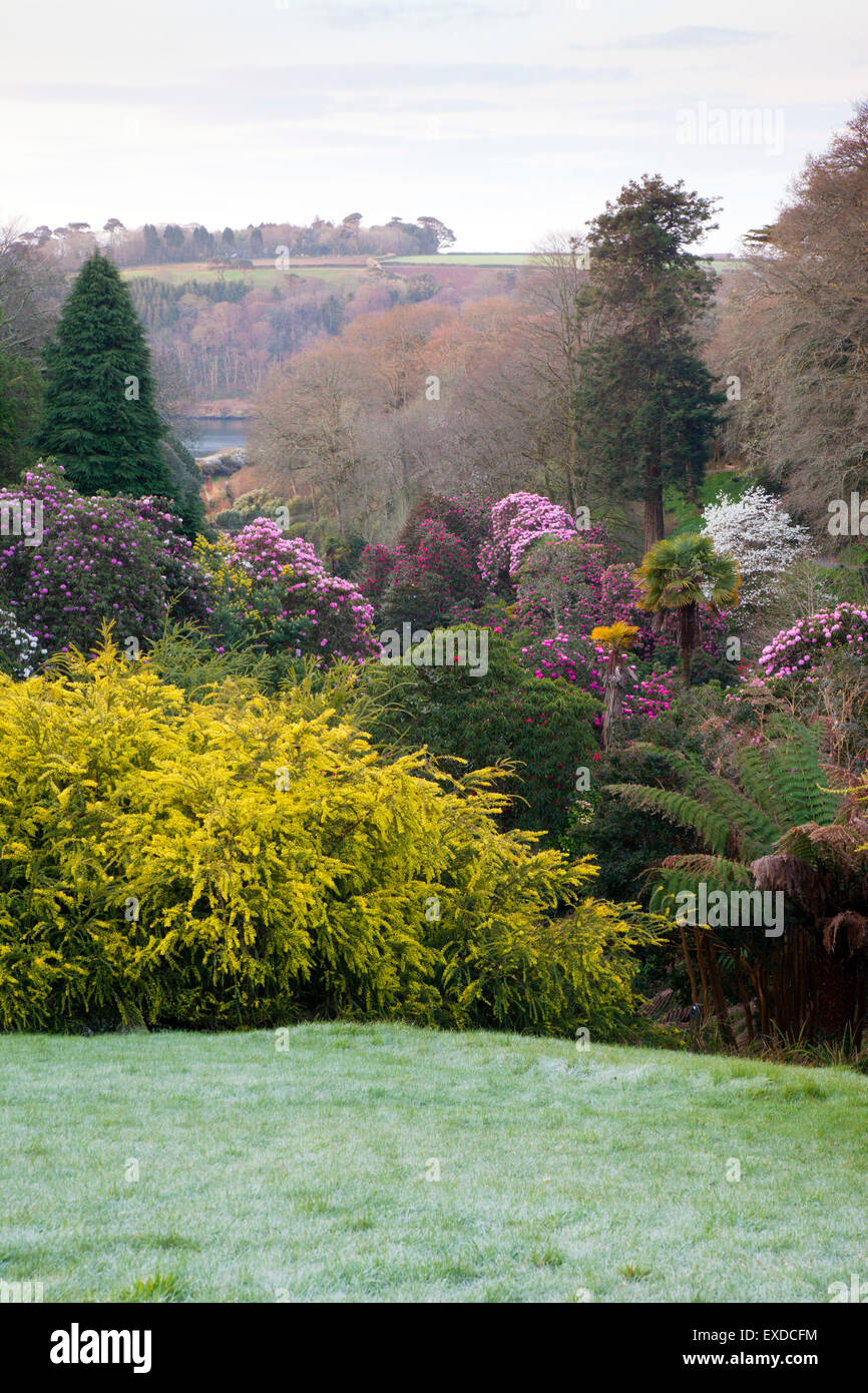 Trebah Garden Spring Cornwall; UK Stock Photo - Alamy