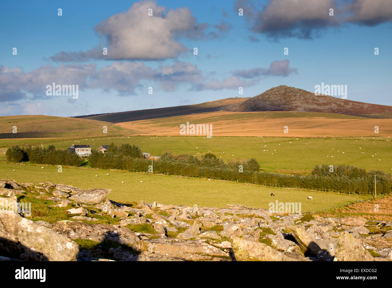 Rought tor hi-res stock photography and images - Alamy