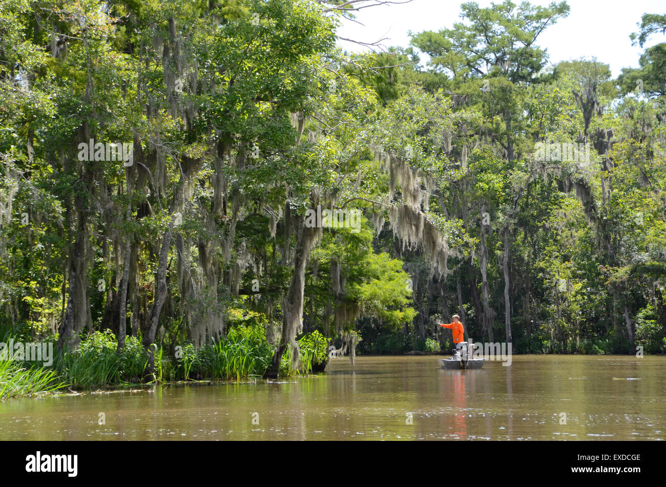 fisherman pearl river swamp new orleans Stock Photo - Alamy