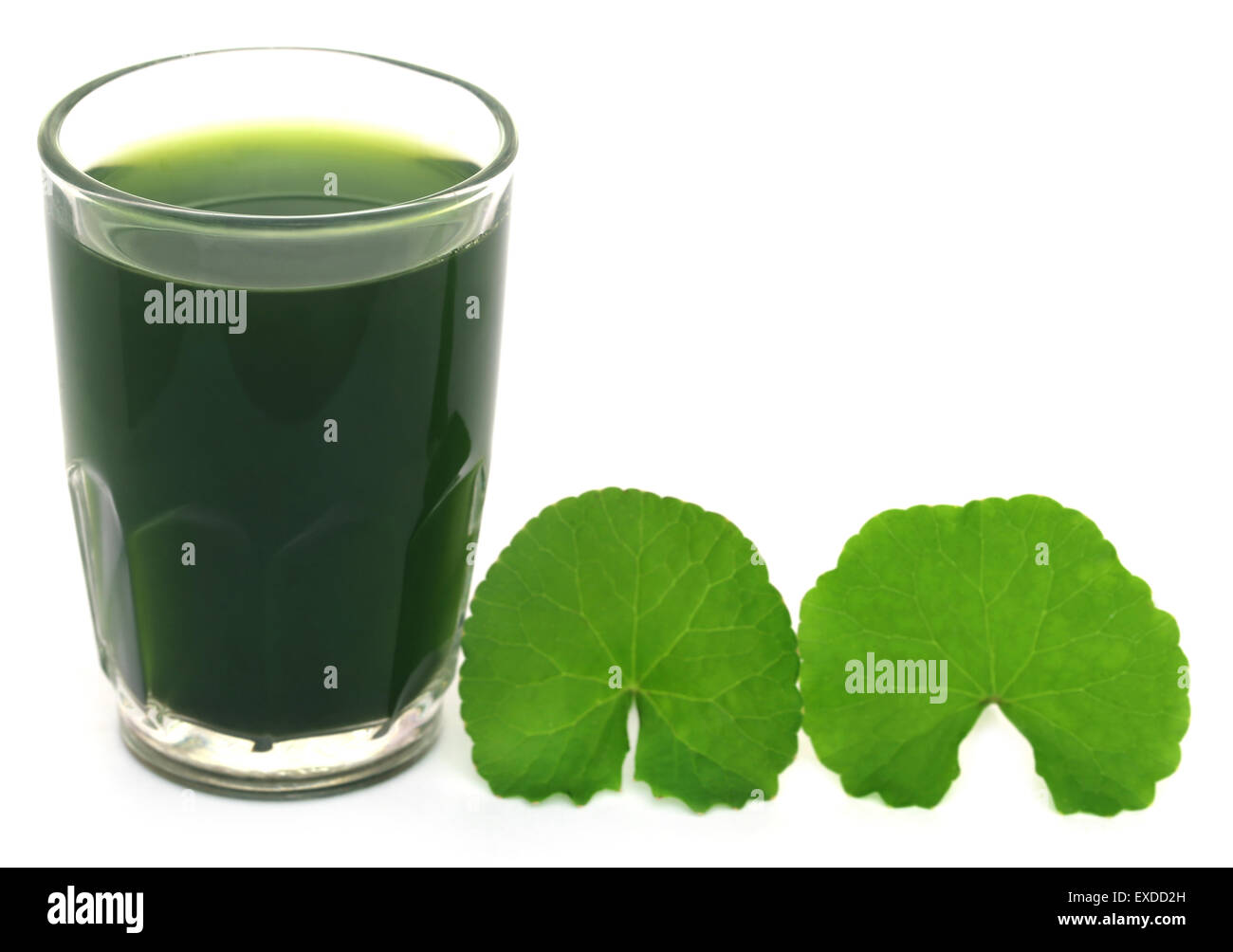 Medicinal thankuni leaves of Indian subcontinent with extract Stock ...