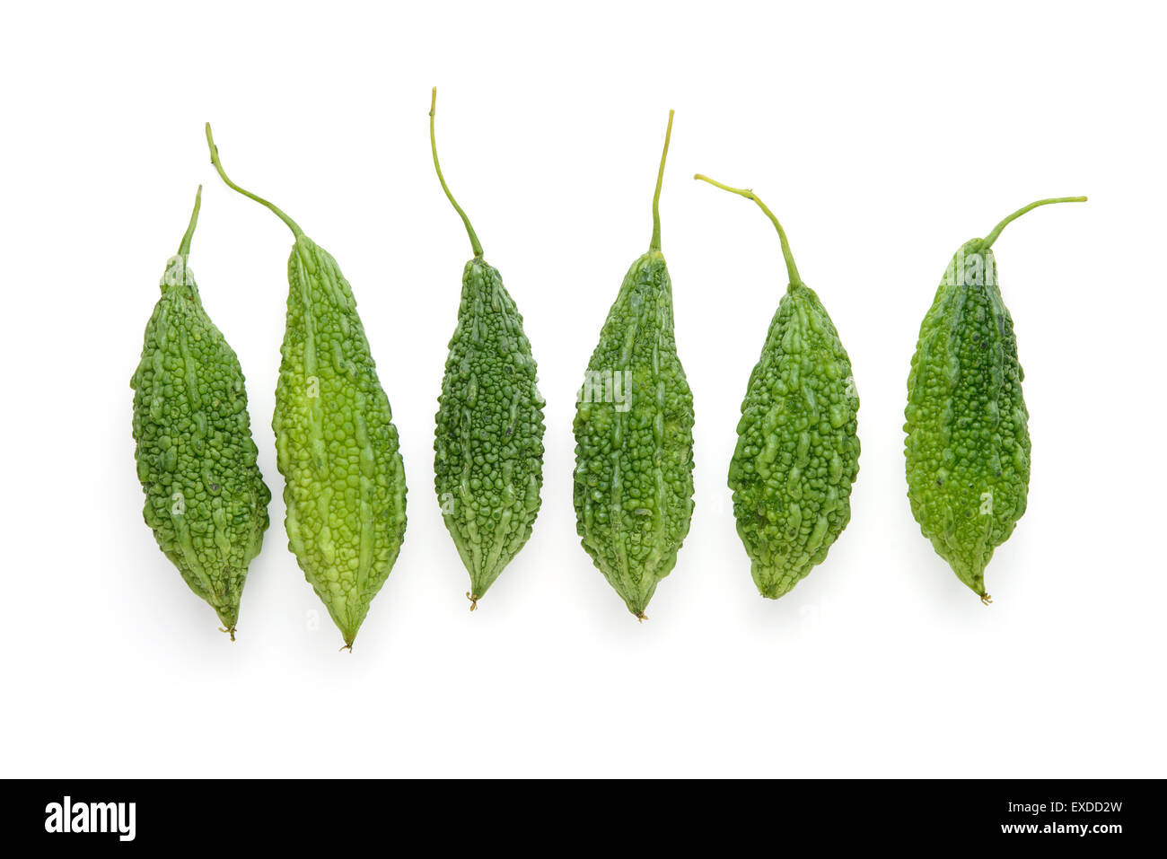 Bitter gourd plant hi-res stock photography and images - Alamy