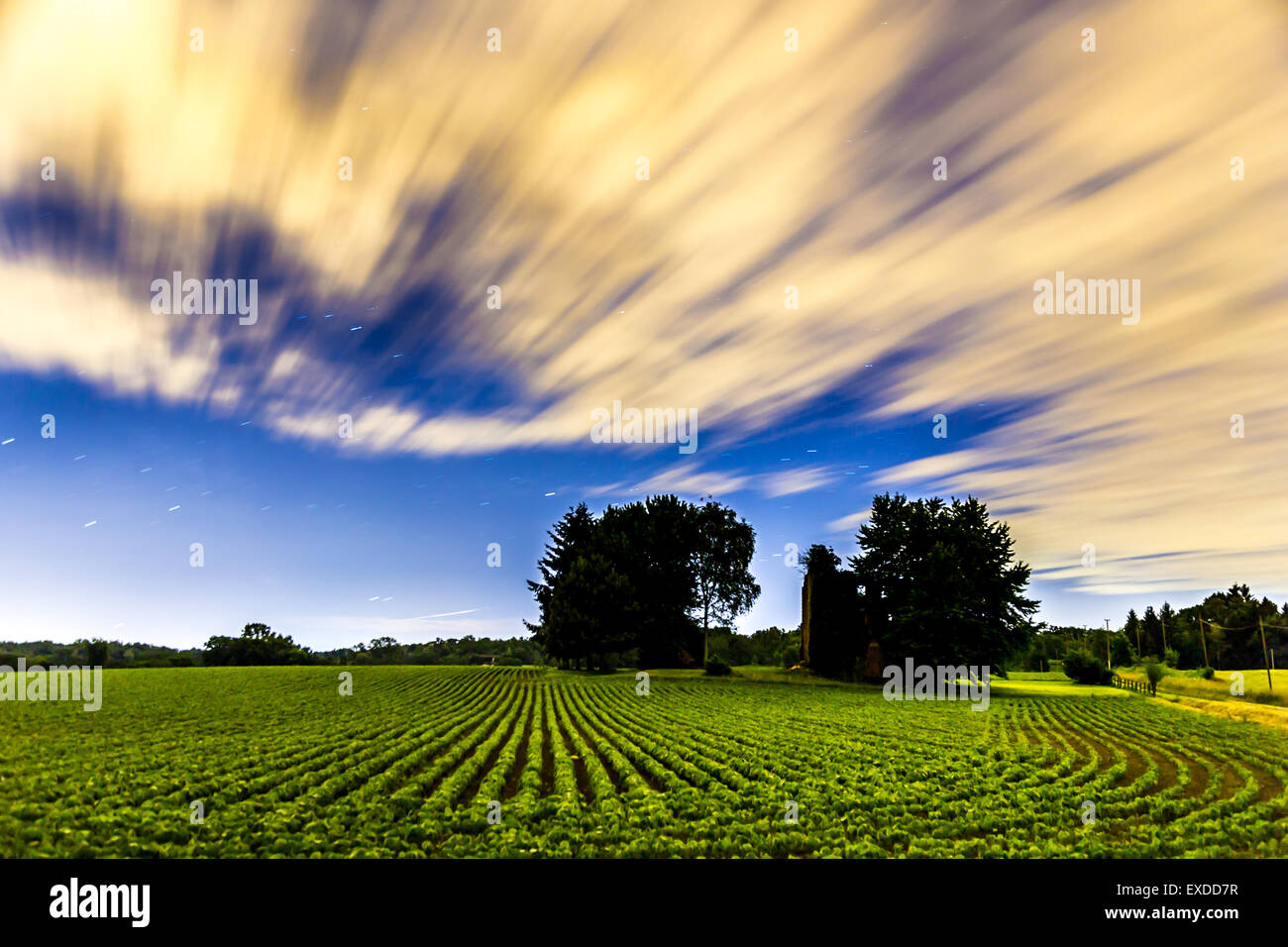 an abandoned and ruined farm in the fields of Italy Stock Photo - Alamy