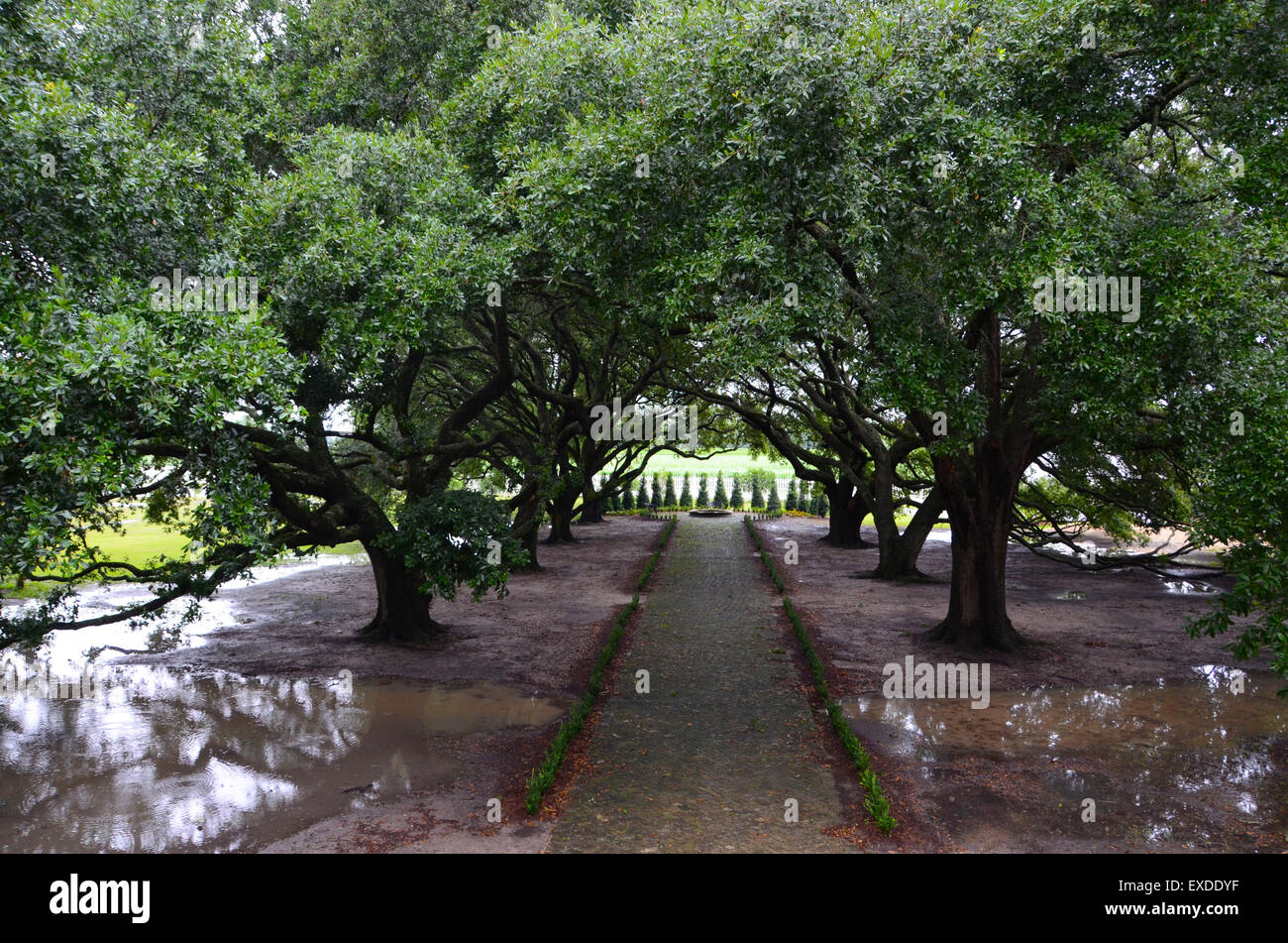 Whitney plantation hi-res stock photography and images - Alamy