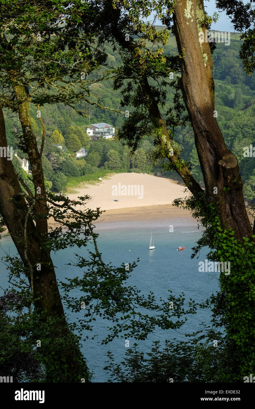Mill Bay Beach in Devon viewed through trees from Salcombe which is a ...