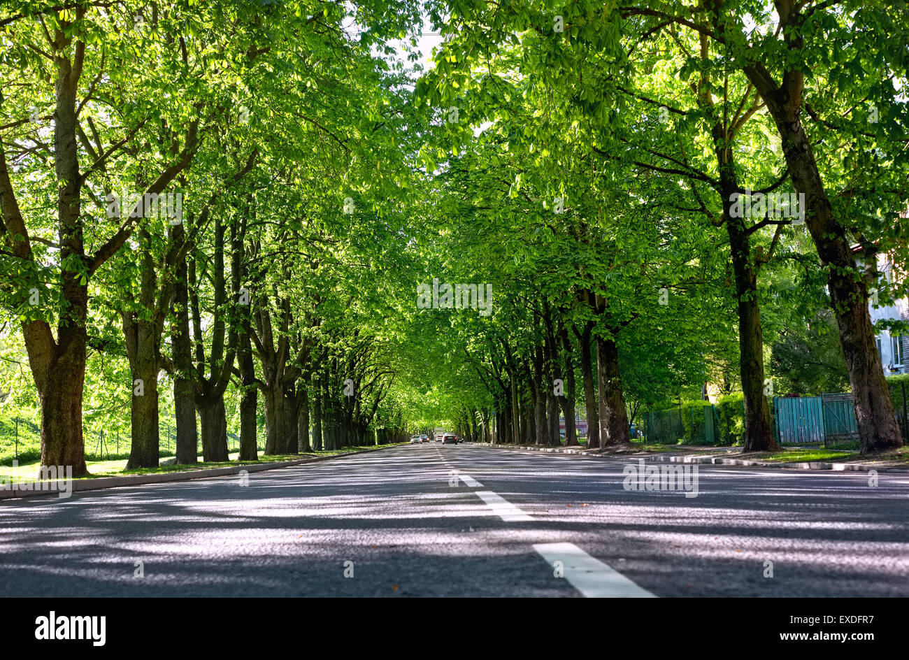 Estonia green hi-res stock photography and images - Alamy