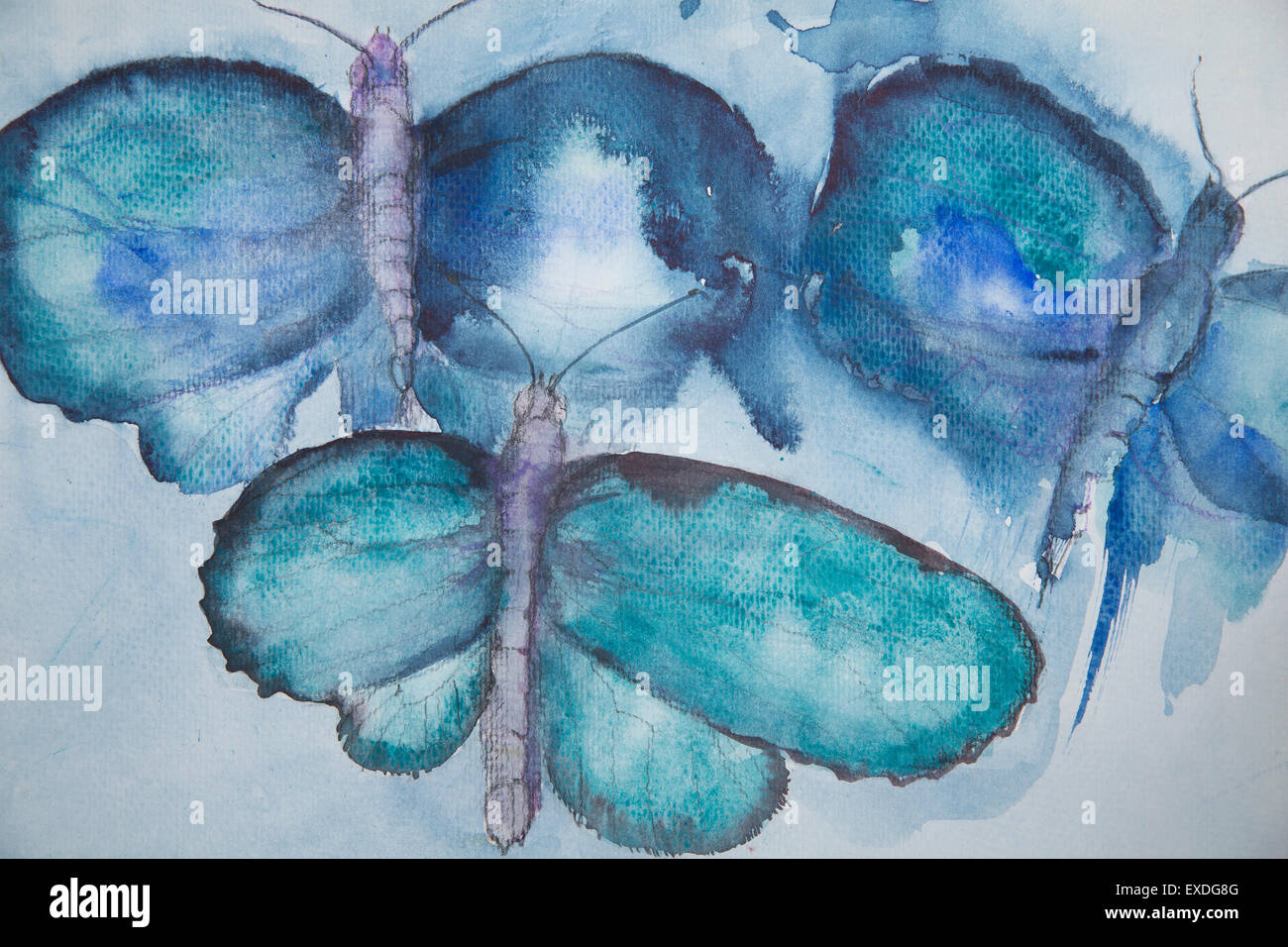 Turquoise blue butterfly hi-res stock photography and images - Alamy