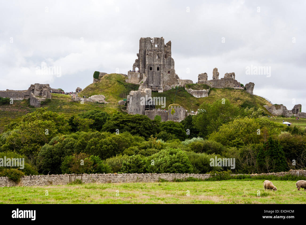 The dramatic hilltop ruins of Corfe Castle and the keep in Dorset ...