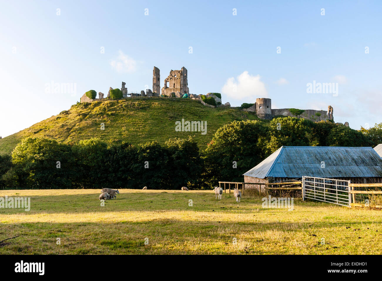 Distant shot of the ruins of the 11th century hilltop Corfe Castle. In ...