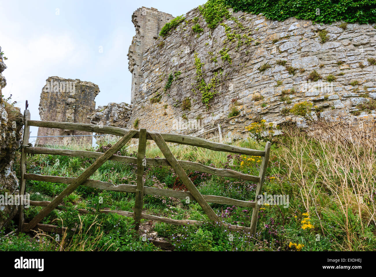 Partly closed old weathered wooden farm gate across track past ruined ...