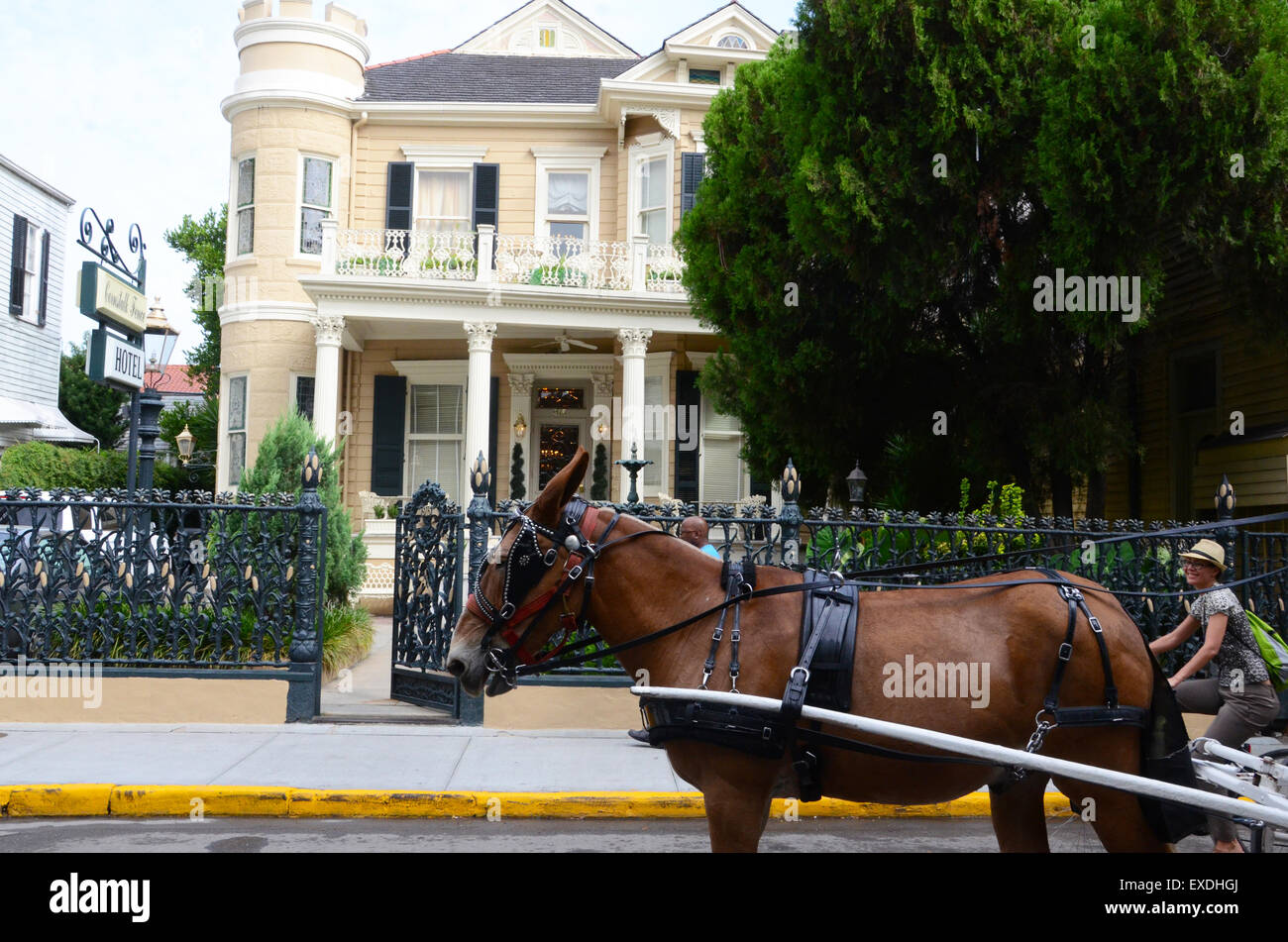 cornstalk hotel new orleans haunted elvis presley french quarter mule ...