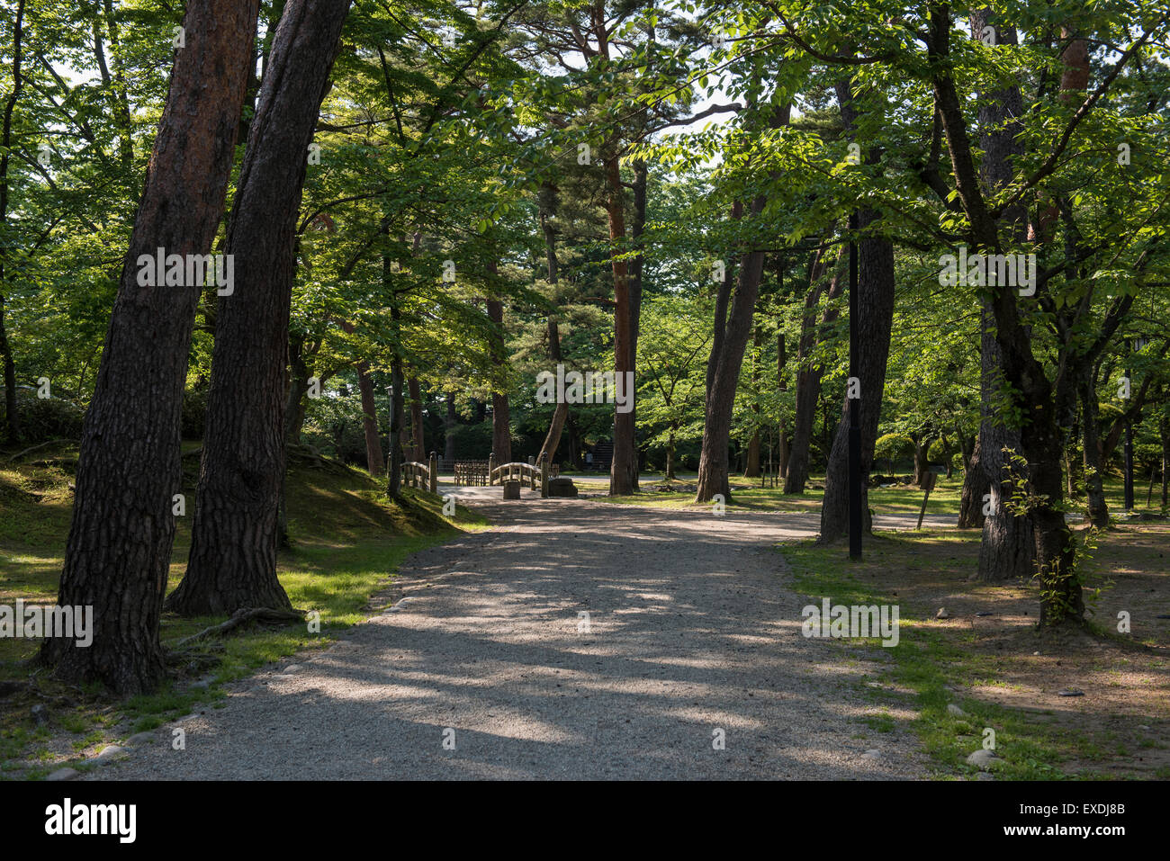 Senshu Park, Akita, Japan Stock Photo - Alamy