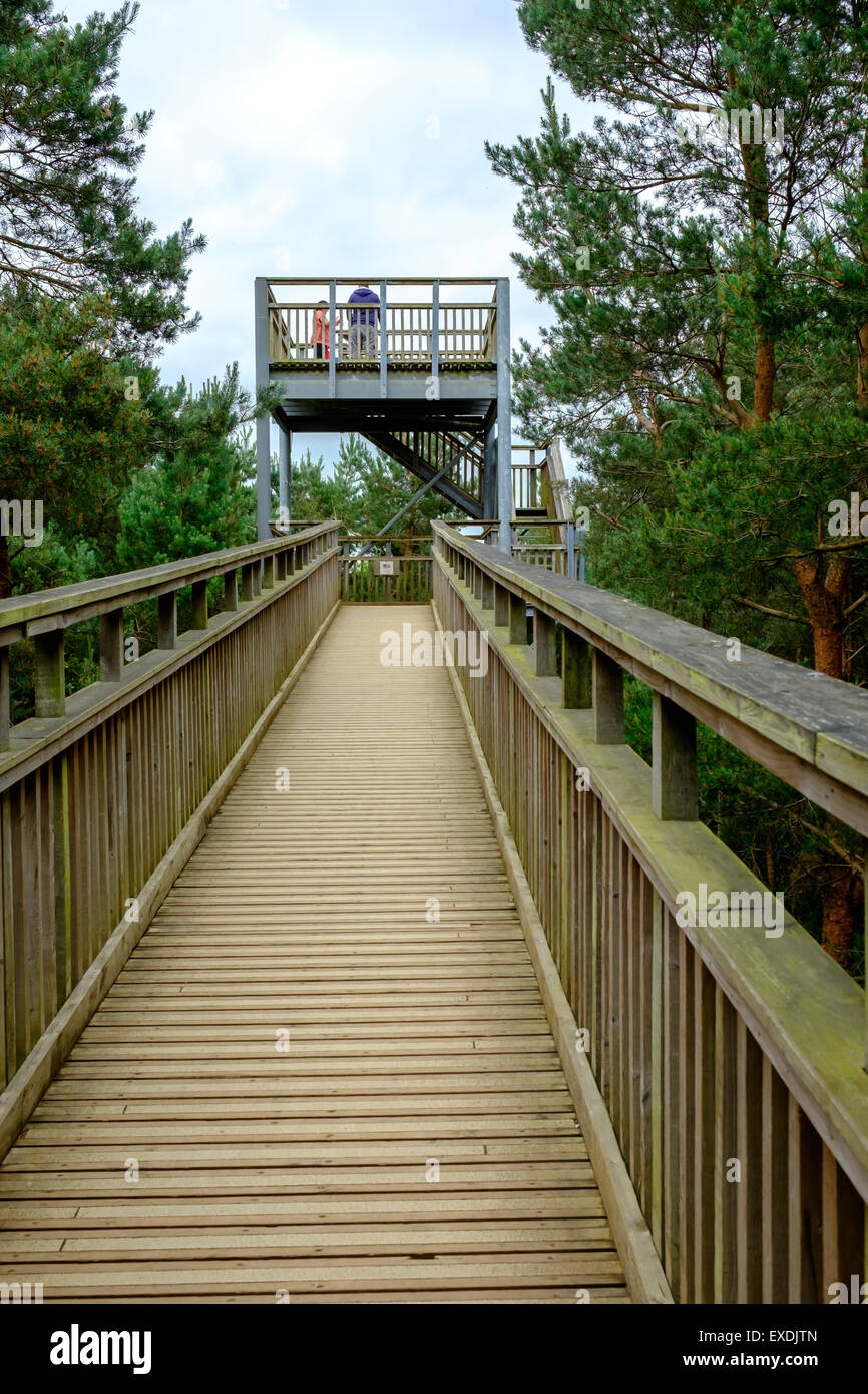 Salcey forest hi-res stock photography and images - Alamy