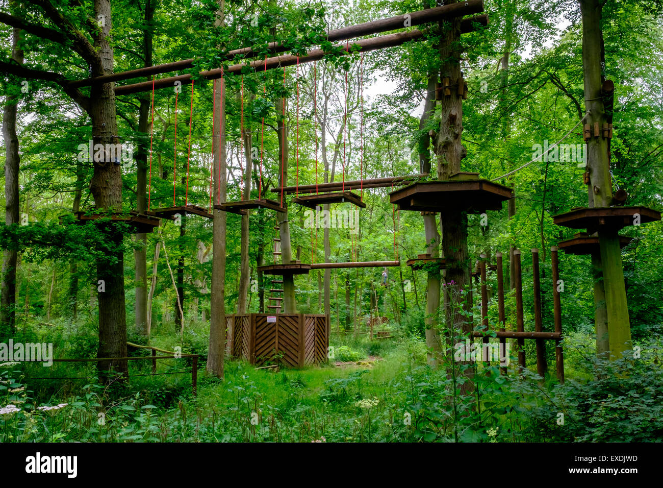Salcey Forest Northampton Play Area Stock Photo - Alamy