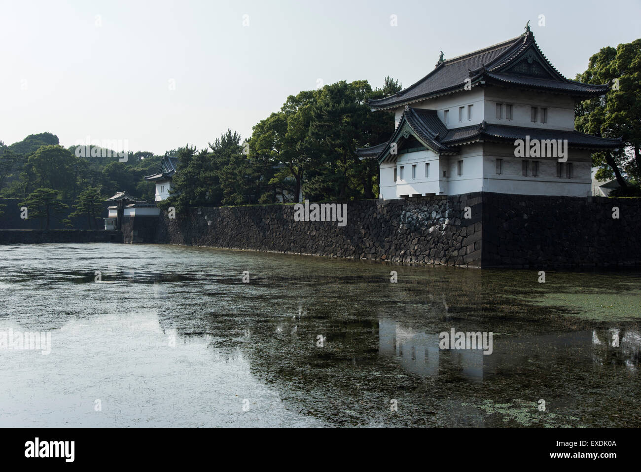 Kokyo higashi gyoen garden hi-res stock photography and images - Alamy