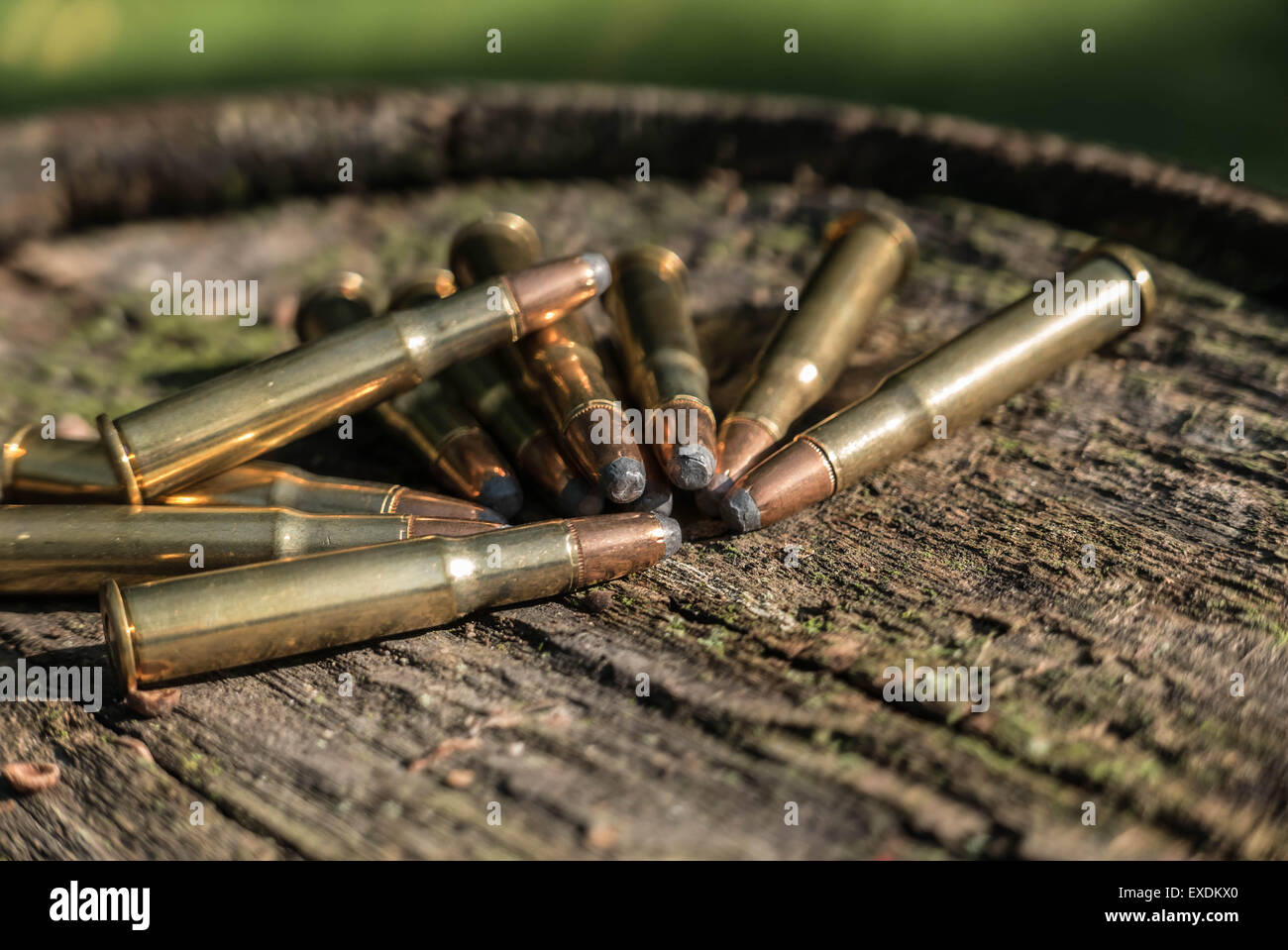 Winchester Rifle Ammunition Stock Photos & Winchester Rifle Ammunition ...
