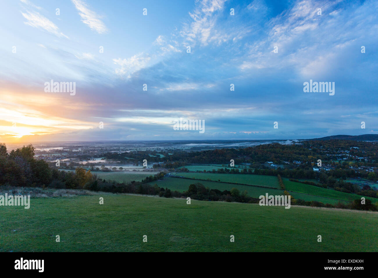 Dawn trees sunrise rural surrey hi-res stock photography and images - Alamy
