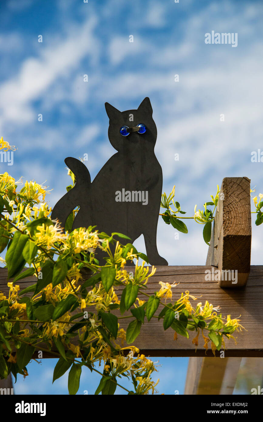 A bird scarer Stock Photo - Alamy