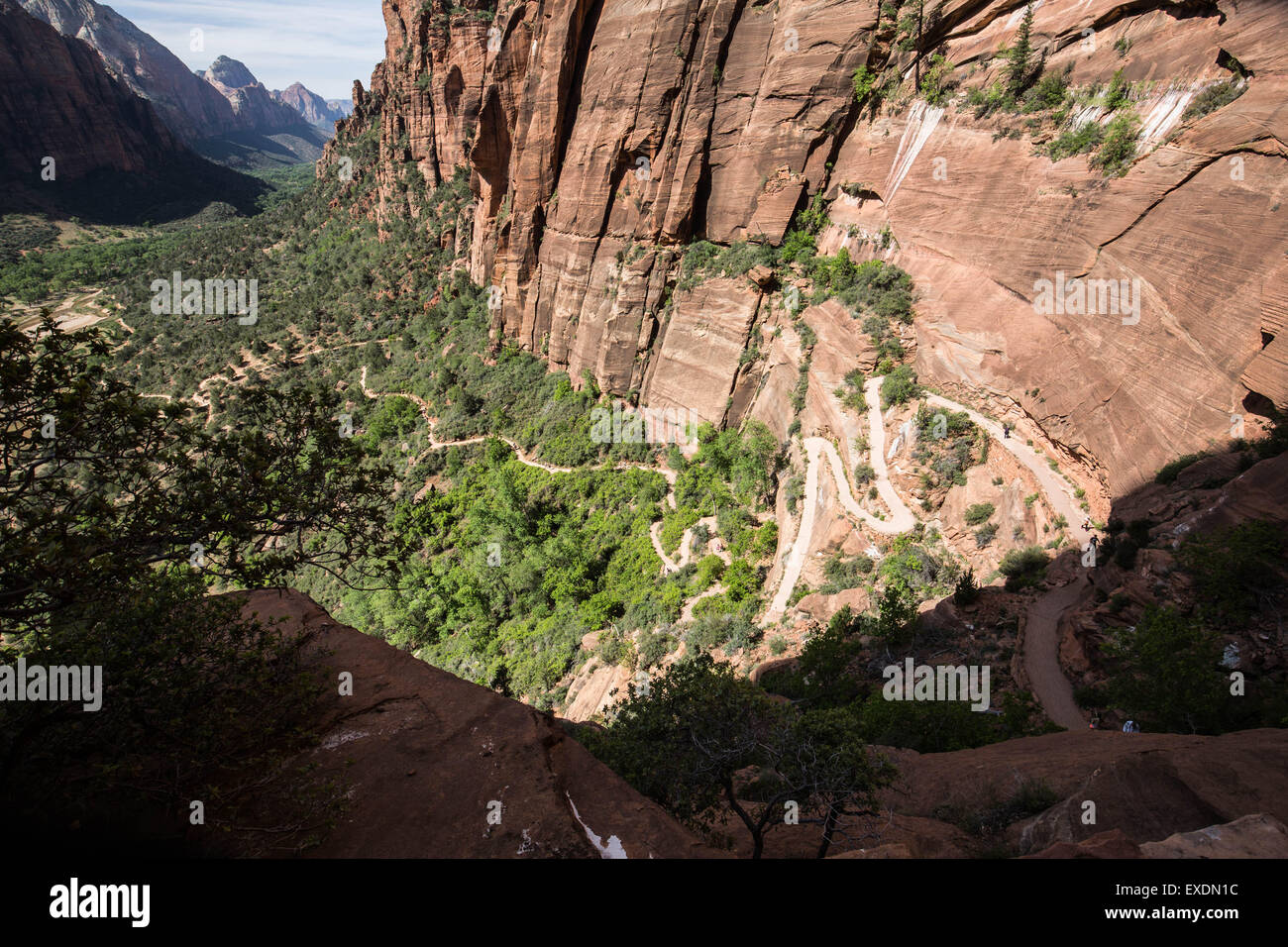 Switchbacks on the West Rim Trail, Zion National Park Stock Photo - Alamy