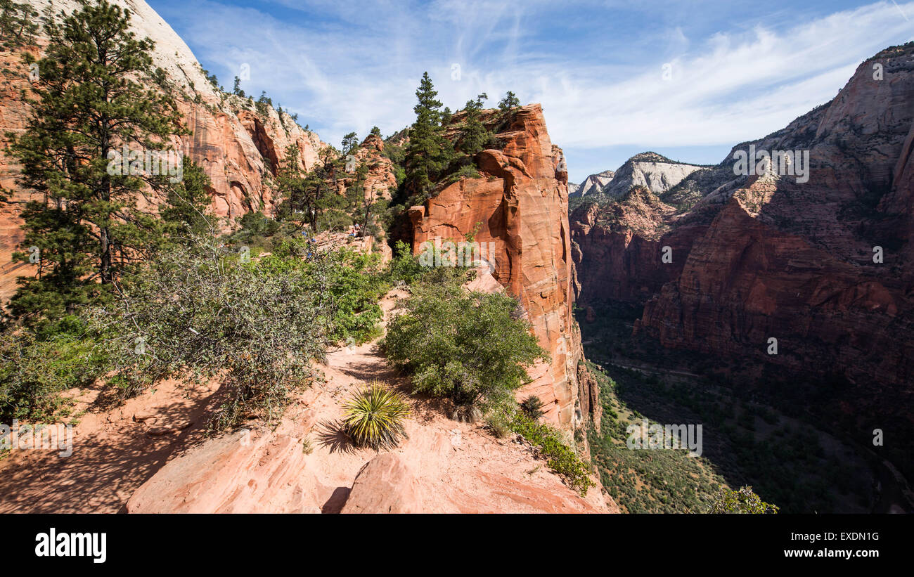 Scouts landing hi-res stock photography and images - Alamy