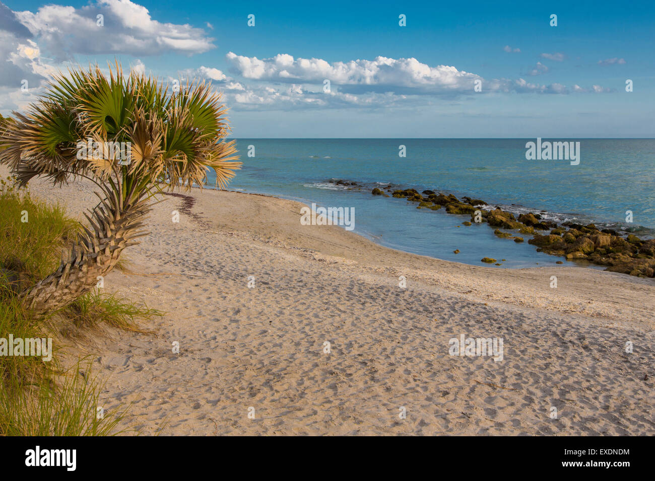 Caspersen beach hi-res stock photography and images - Alamy