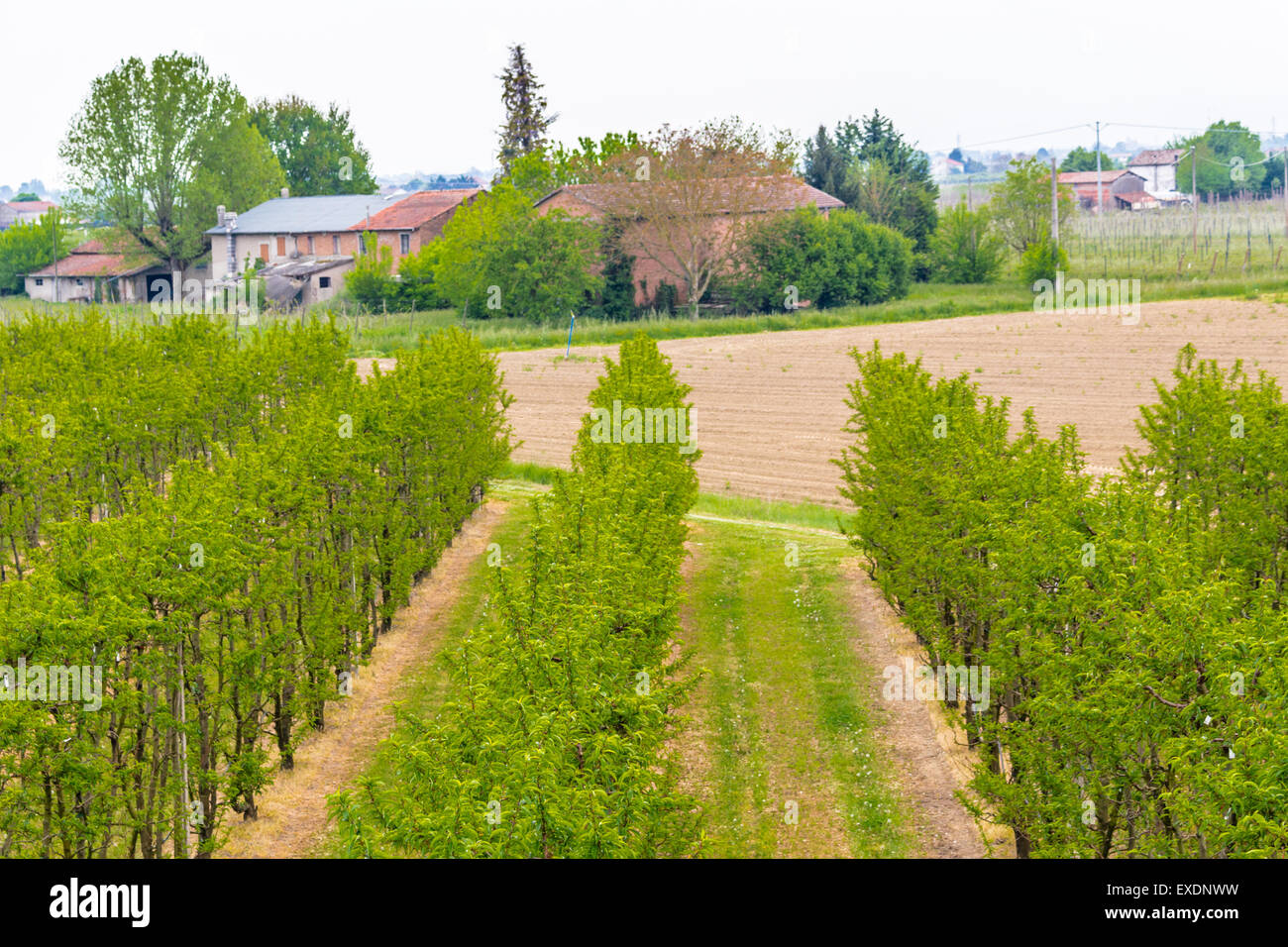 Modern agriculture hi-res stock photography and images - Alamy