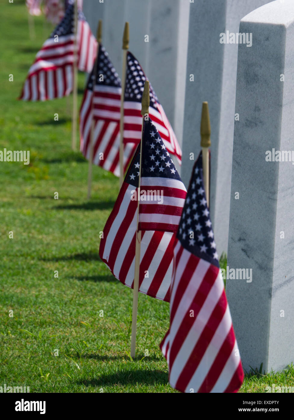 Rows of grave stones and American flags in Sarasota National Cemetery ...