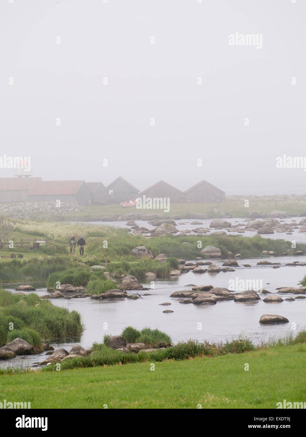 river Haa (Hå) meets the North Sea, flat agricultural landscape, fog ...