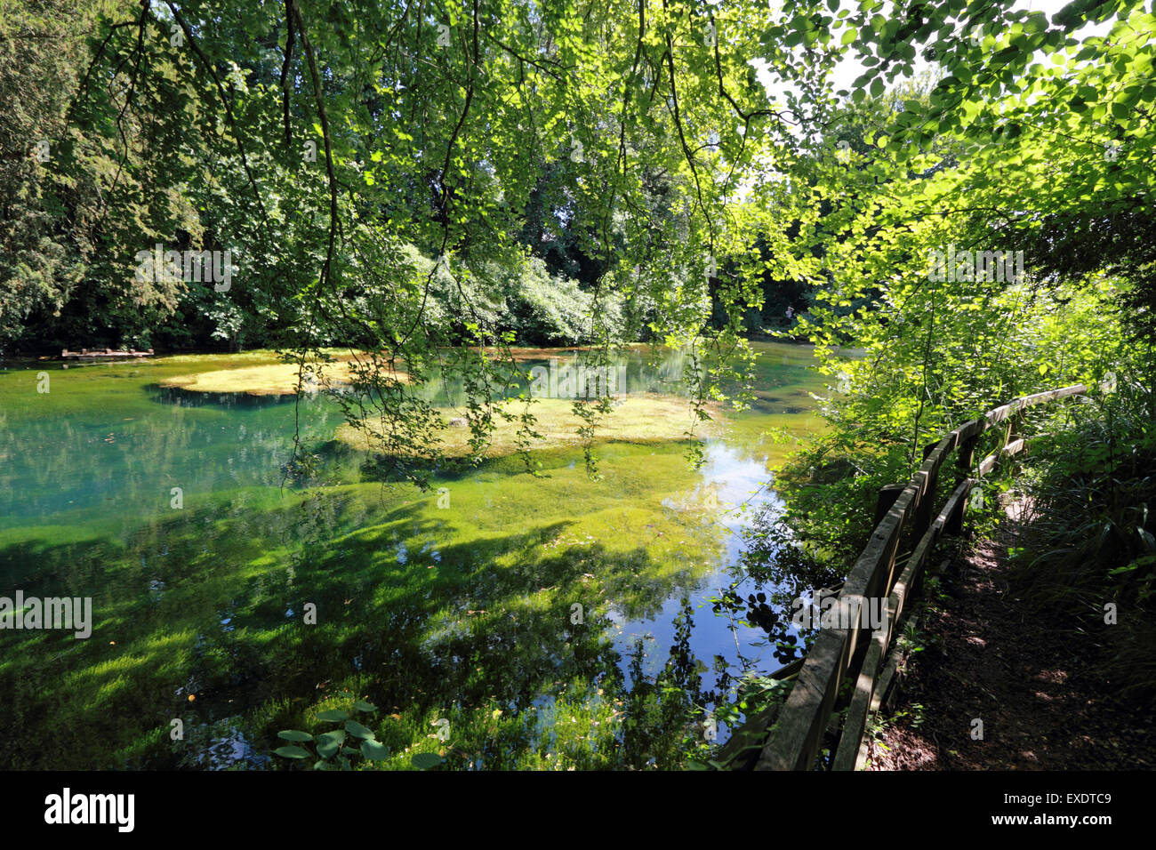 Silent pool surrey hi-res stock photography and images - Alamy