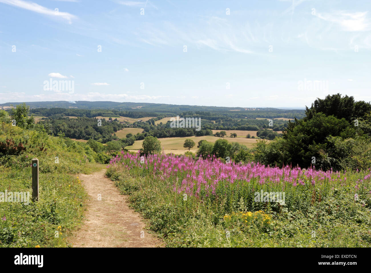 Newlands Corner, Surrey, England, UK Stock Photo - Alamy