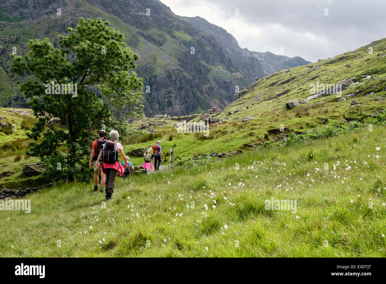 Hikers on new footpath route through Bwlch Llanberis Pass in mountains ...