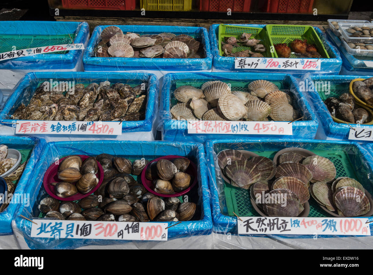 Shellfish From Japan at Amelie Challis blog