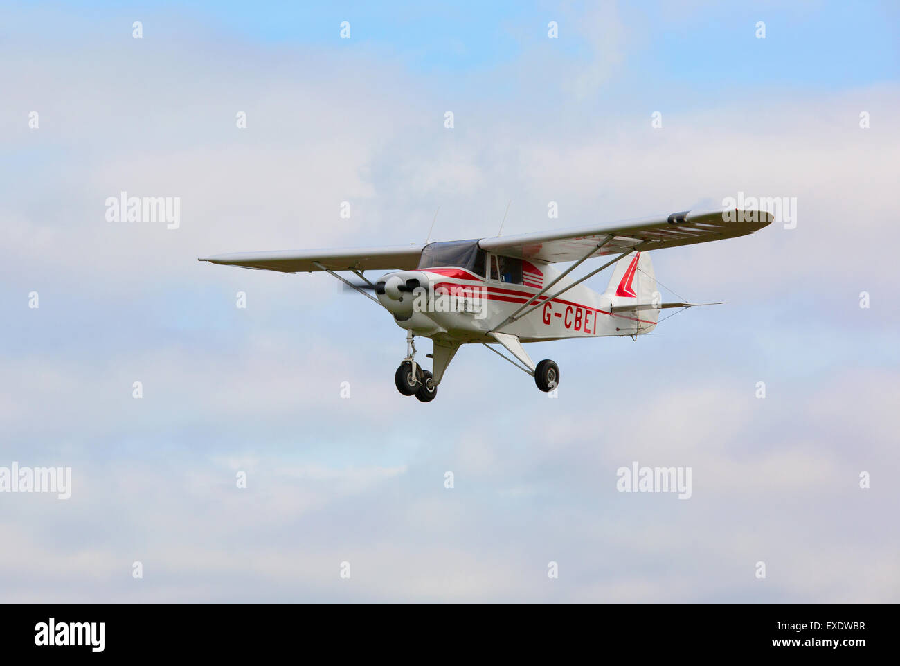 Piper colt hi-res stock photography and images - Alamy
