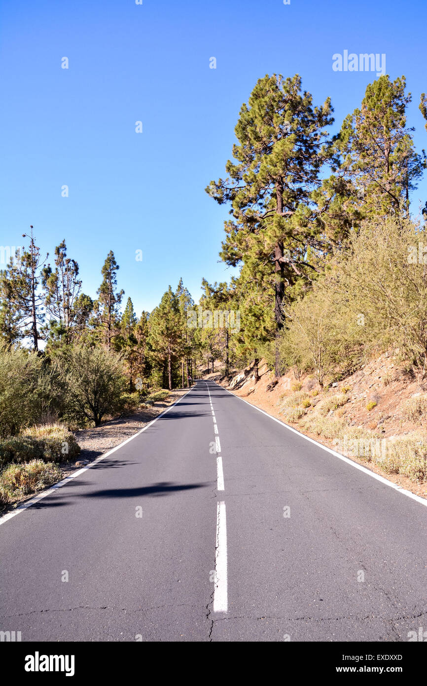 Long Lonely Road Stock Photo - Alamy