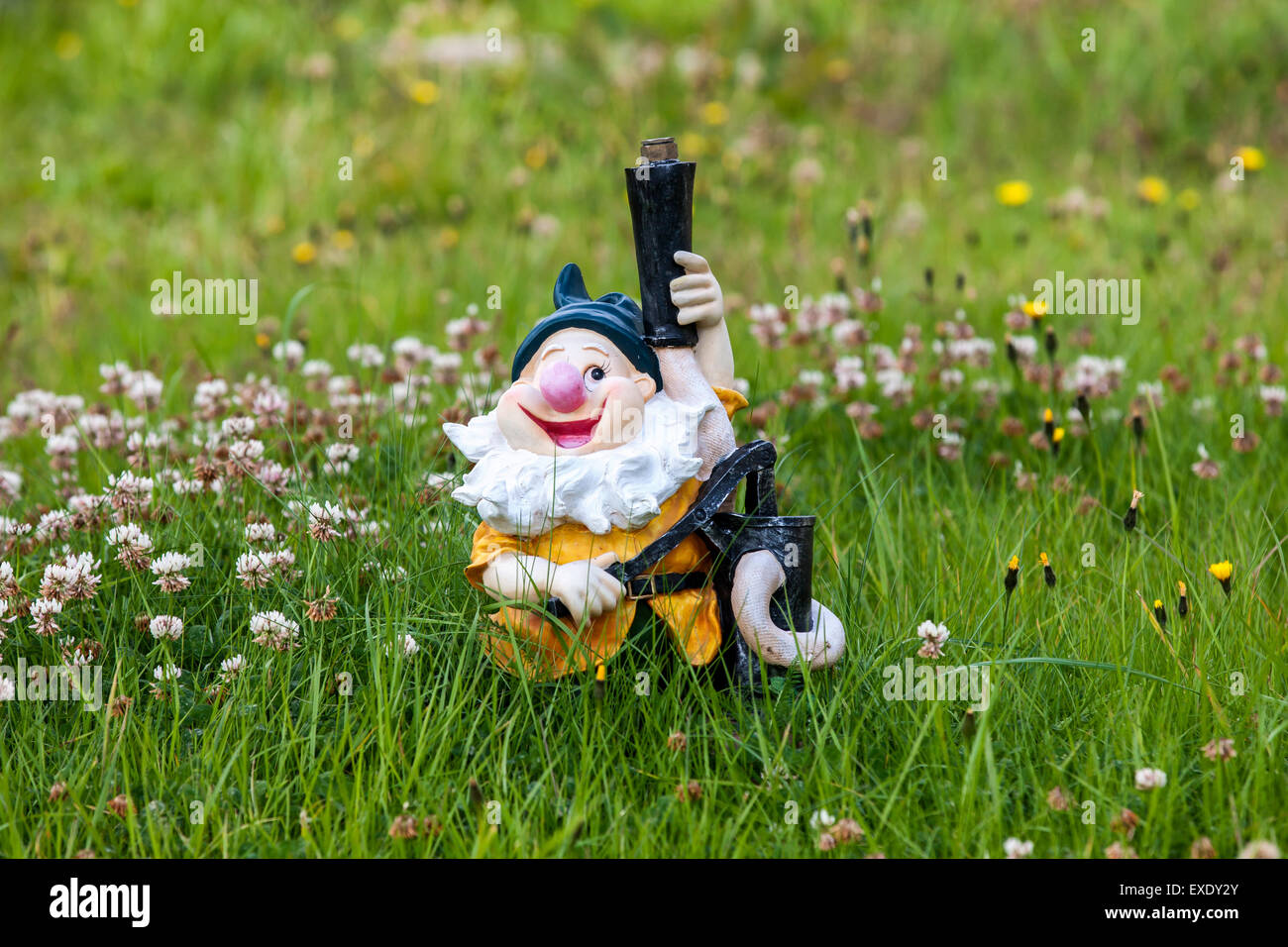 Funny Dwarf in the garden Stock Photo - Alamy